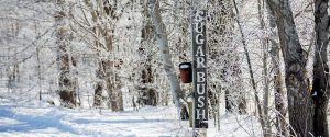 Spring Valley Maple Syrup Products